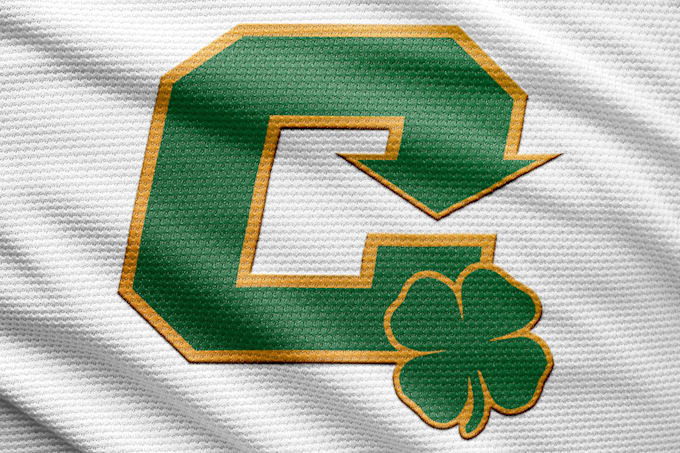 Create custom sports team logo and unique professional branding by ...