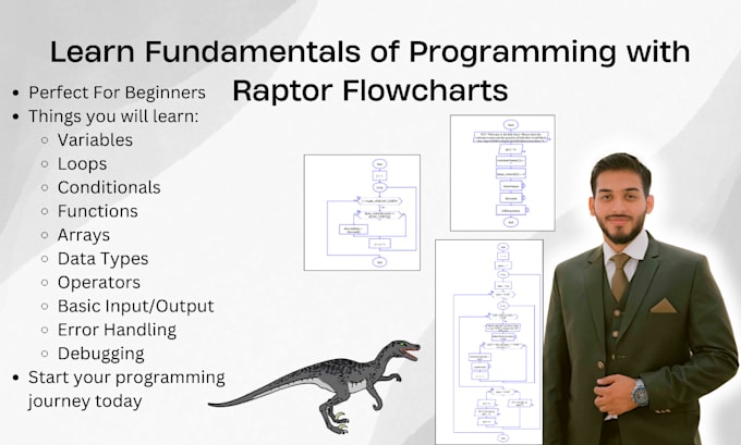 Teach programming basics with raptor flowcharts by Mohibazhar | Fiverr