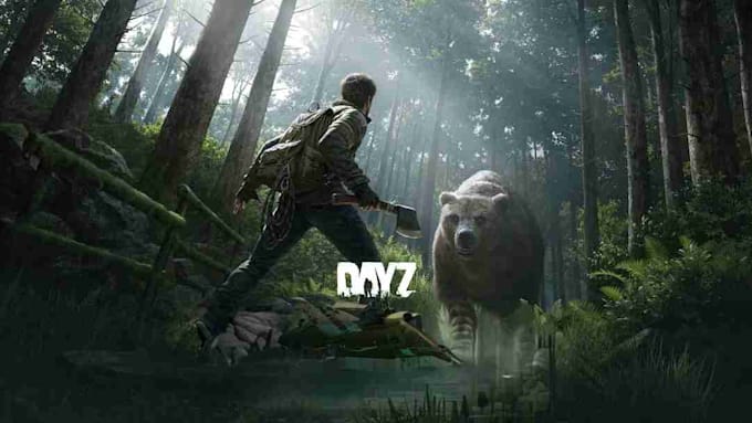 Create A Custom Dayz Server With Mods And Scripts By Aleexwilson Fiverr
