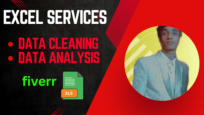 Clean, format, merge, analysis excel data by Bhavya_excel2 | Fiverr