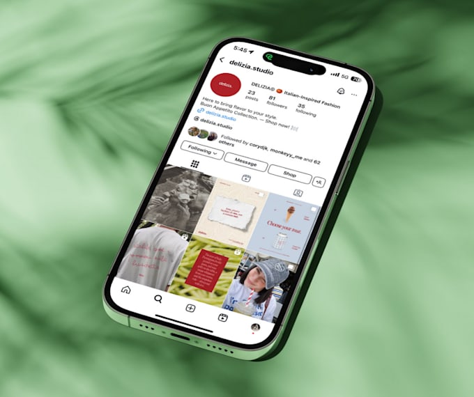 Instantly optimize your instagram profile by Thepatrace | Fiverr