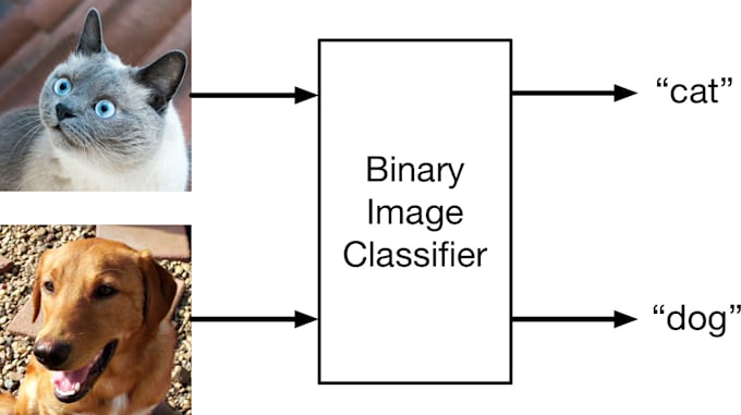 Make a classifier model by Moiz_scribbles | Fiverr