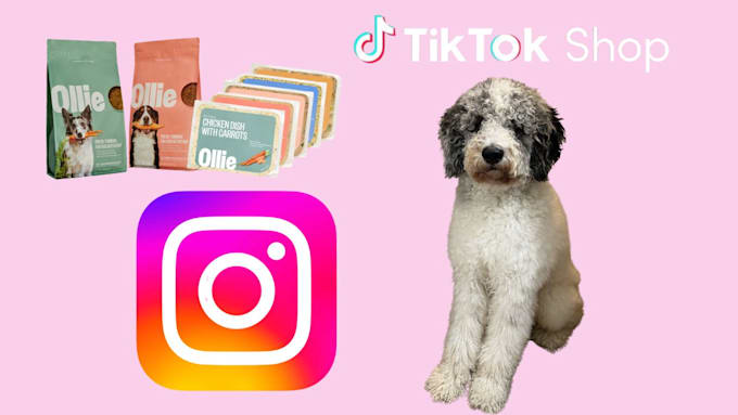 Create ugc content for your dog products by Brifrangos | Fiverr