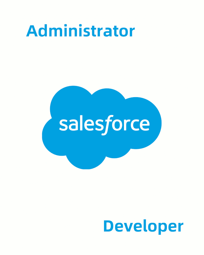 Customize Develop And Optimize Your Salesforce Solution By