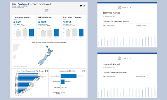 Be your data analyst for tableau and power bi dashboard and data visualization by ...