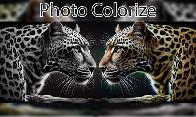 Colorize and enhance your old photo professionally by Banujapawarajit ...