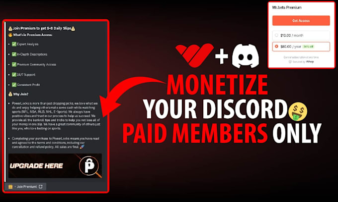 Setup paid discord server with whop subscription by Afifamubashar7 | Fiverr