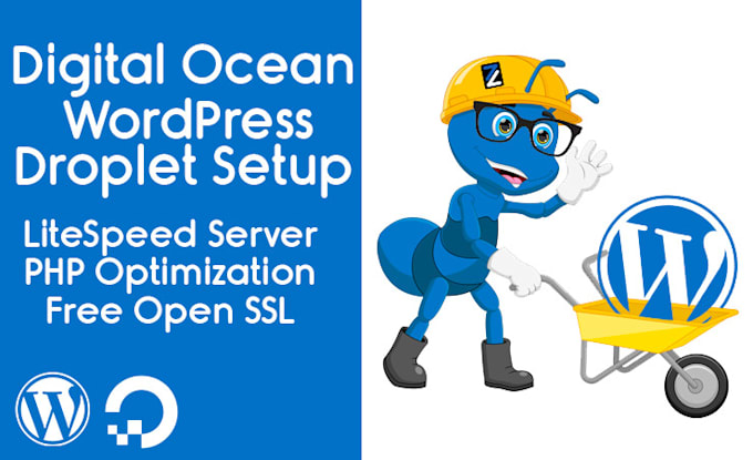 Setup a new wordpress site on a digital ocean droplet by Dave_zarp | Fiverr