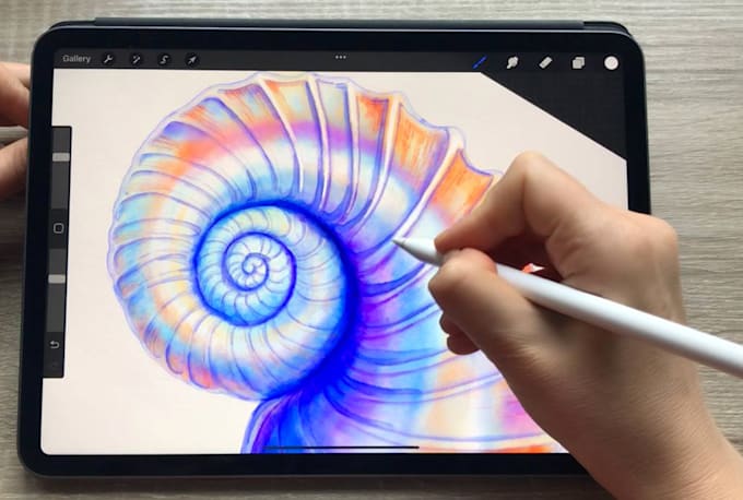Make a video of the drawing process in procreate by Artvictory | Fiverr