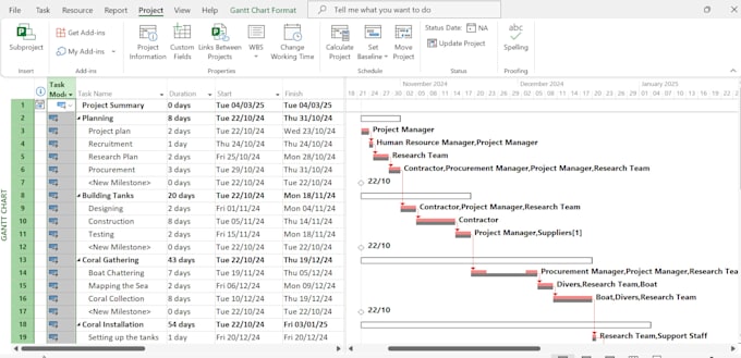 Create ms project gantt chart, project plans, excel spreadsheet and ...
