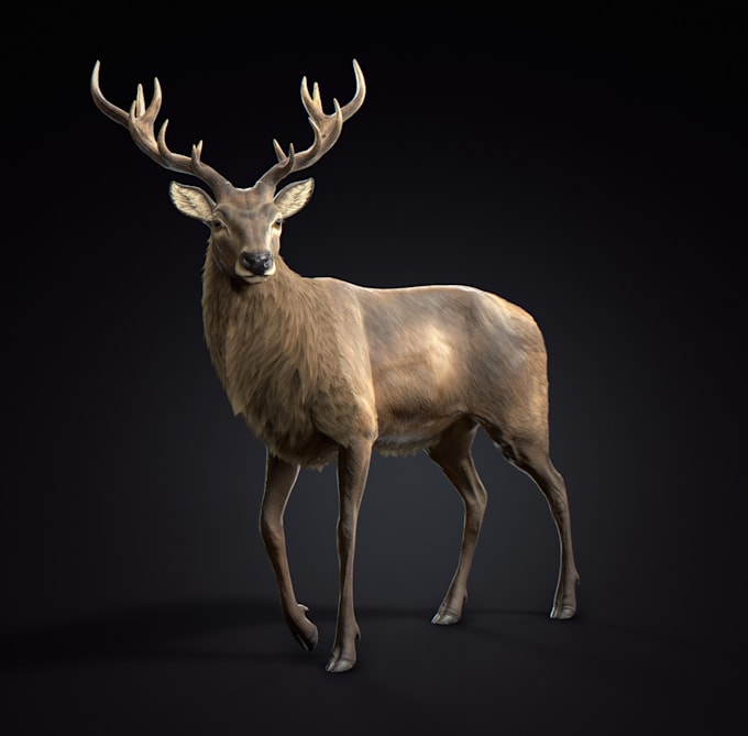 3d animal model ,3d animal animation, cgi animal animation, 3d animal ...