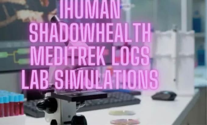 Do shadow health, ihuman, lab simulation,care plan birp note, soap note, nursing by ...