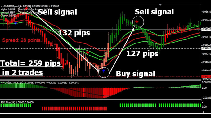 Build a profitable forex trading bot, hft bot, mt4, mt5 bot by ...