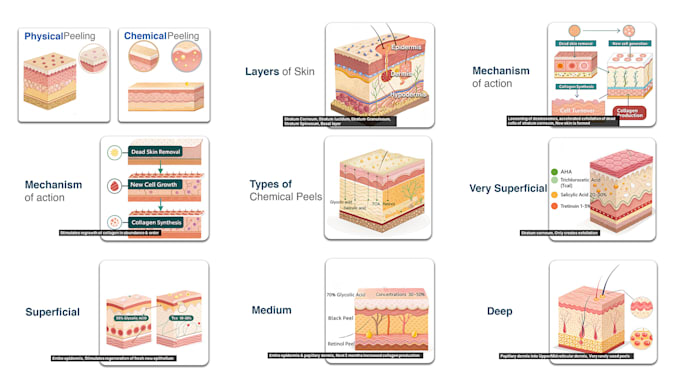 Create Engaging And Educational Ppts For Dental And Aesthetic