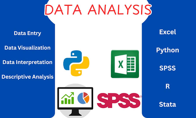 Do data analysis, data entry descriptive analysis excel data visuals python by Las_digits | Fiverr