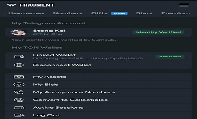 Fix telegram fragment, telegram promotion, fragment verification, telegram ads by Abd_karzy | Fiverr