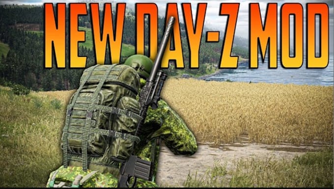 Build dayz server setup, coding scripts, fallout 4 and arma reforger by Caleb_lius | Fiverr