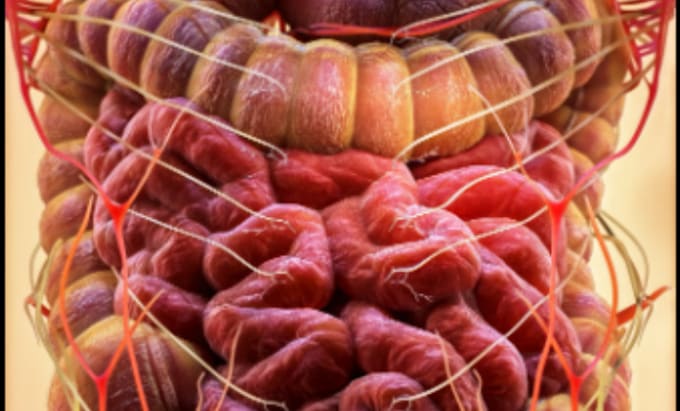 3d medical product animation 3d surgical equipment 3d dental animation ...