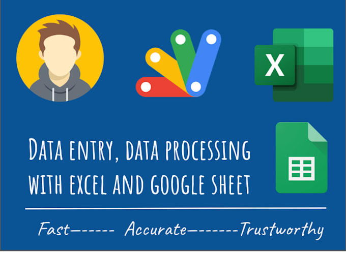 Perform data entry and cleaning for excel or sheet data by ...