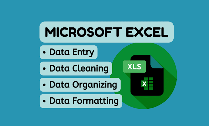 Do data entry cleaning formatting and create custom excel sheet by ...