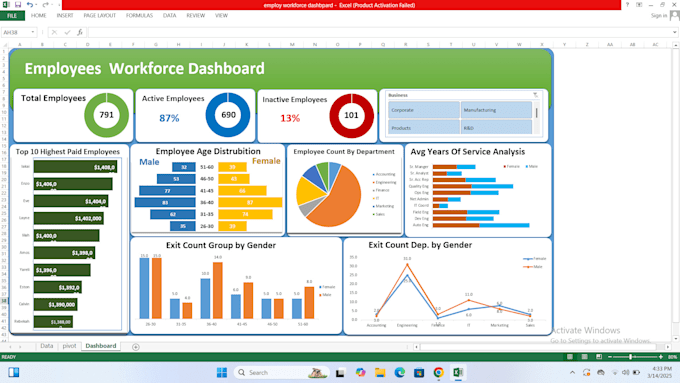 Create professional excel dashboard to visualize your data by Reiji28 | Fiverr