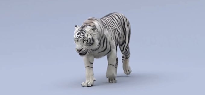 Integrate realistic 3d animal modeling, 3d animal rigging, 3d animal ...