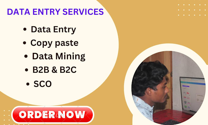 Do data entry,data mining,copy pasty,sco by Amerul70 | Fiverr
