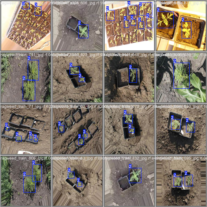 Make custom ai models for image and text based data by Rohitn_business | Fiverr