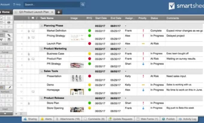 Automate workflows and create dashboards in excel, smartsheet and asana by Chidi_0001 | Fiverr