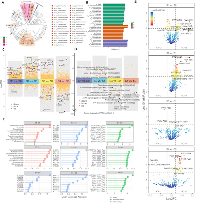 Create professional and diverse data visualization charts by Yangyijing | Fiverr