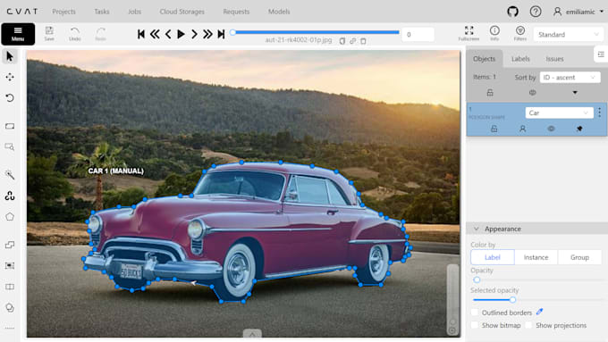 Annotate, label and transcribe for ai and ml algorithms by Emiliamic | Fiverr