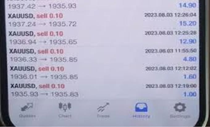 Build working python mt4 forex trading bot for xauusd by Kelvin_henry24 ...