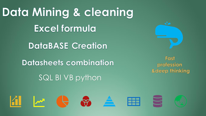 Data mining cleaning analysis formulas macros dashboard chart pivot by Guhualin | Fiverr