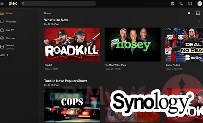 Expert setup for plex, radarr, sonarr , jellyfin on linux vps and nas by Kareedeen | Fiverr