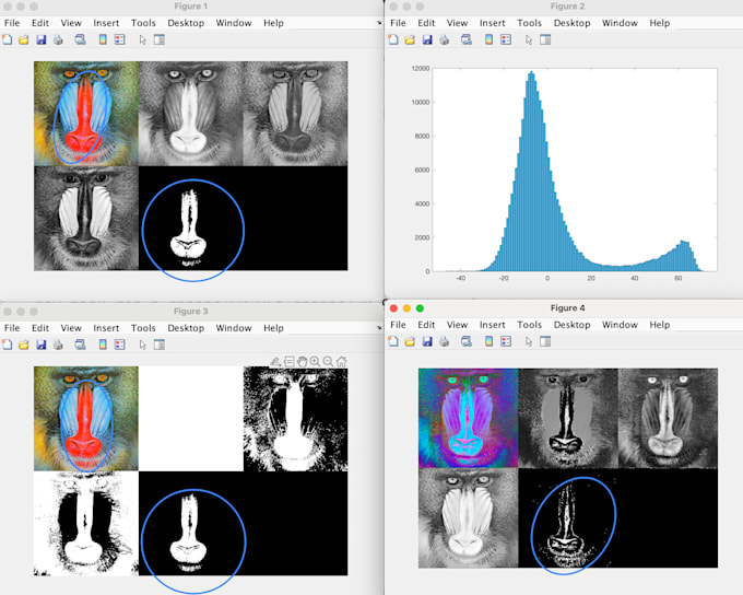 Do all digital image processing and computer vision projects by ...