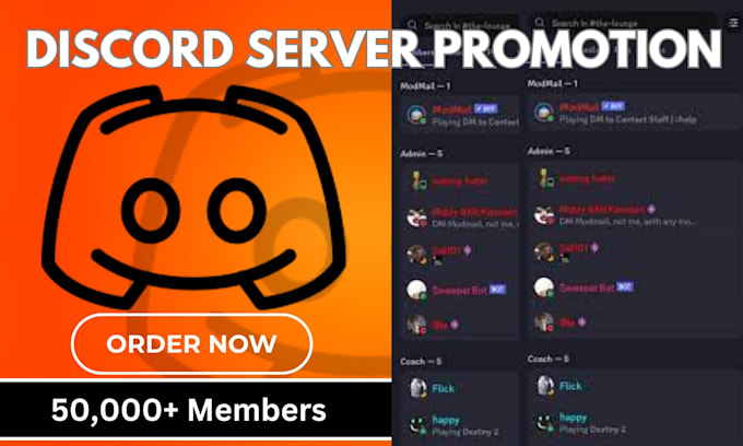 Do professsional discord server growth and discord server promotion by ...