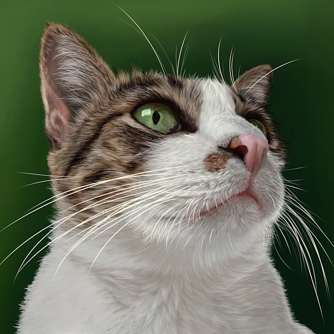 Draw super realistic cats and unrealistic animals with fur by Catarchy ...