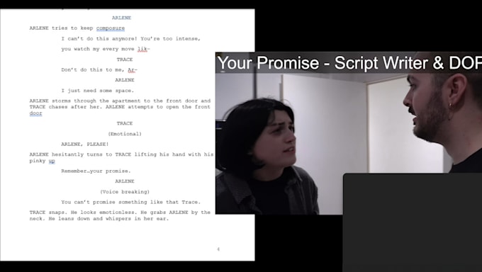Craft professional scripts for film, drama, or web series by ...