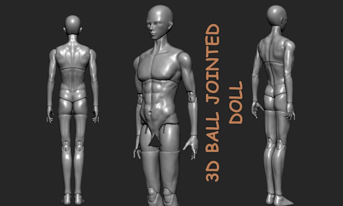 Sculpt 3d bjd model 3d flexi model ball joint doll articulated model for print by Johnny_chrize ...