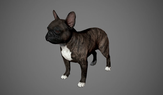 Create 3d animal model, fur, xgen, hair, realistic texture, rig, 3d ...