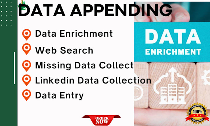Do data enrichment appending and web search by Mrha77u | Fiverr