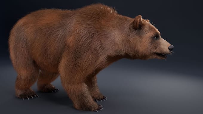 3d animal 3d model, horse, dog, cat, fur, xgen, hair, realistic texture ...