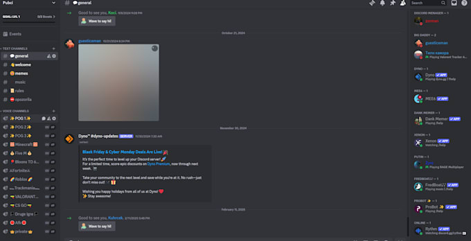 Create and optimize professional discord servers by Mzorman2 | Fiverr