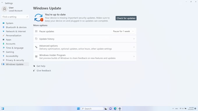 Update windows 10 or 11 by Newhere23 | Fiverr
