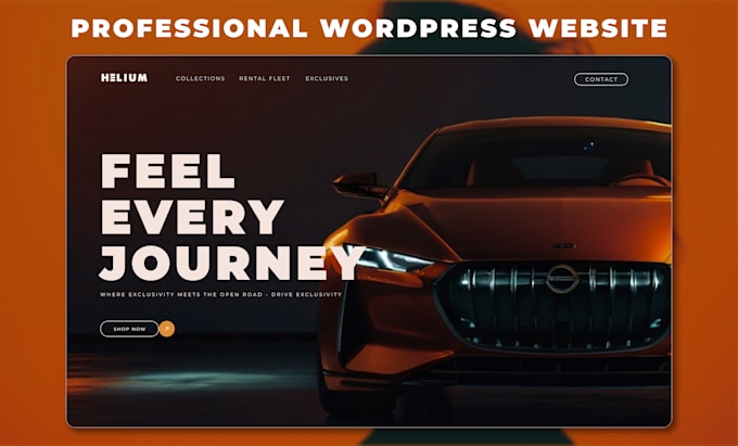 Build wordpress website redesign wordpress website design wordpress redesign web by Leo_upscale ...