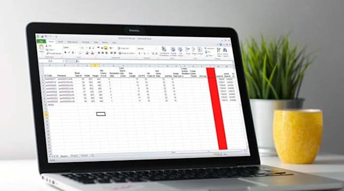 Create advanced excel spreadsheets by Miss_nimi | Fiverr