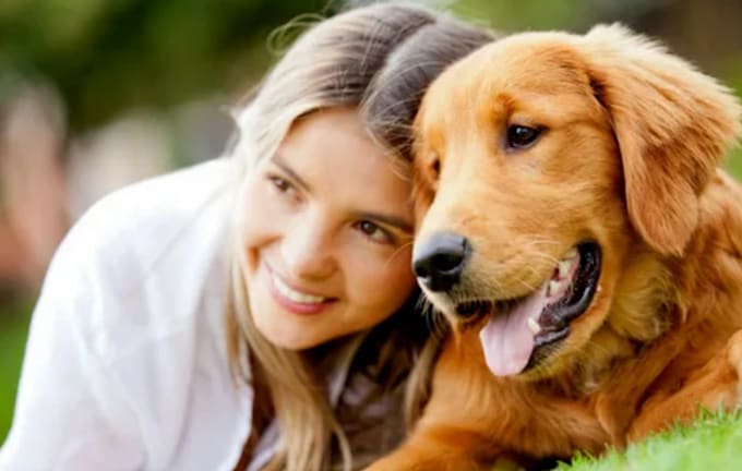 Create dog ugc videos for your pet product by Joykim78 | Fiverr