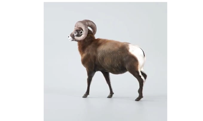 Make 3d animal animation, cgi animal model, animal rigging, cgi animal ...