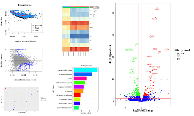Perform big data analysis, cleaning, visualization using python, r and linux by A_zra_art | Fiverr