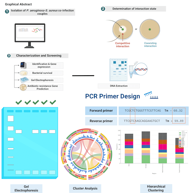 Draw realistic medical illustrations using photoshop, biorender, and ...